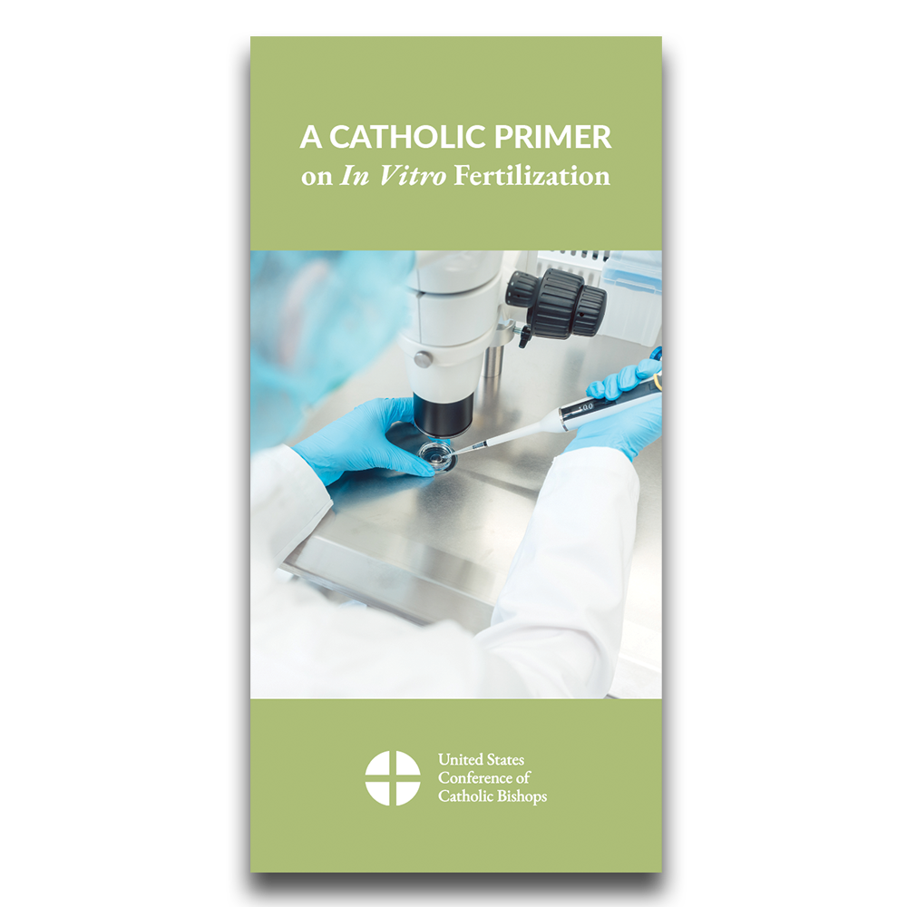 A Catholic Primer on In Vitro Fertilization